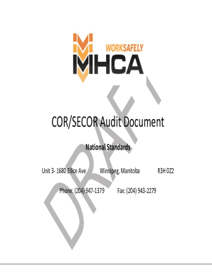 Fillable Online COR & SECOR Audit Requirements Fax Email Print - pdfFiller