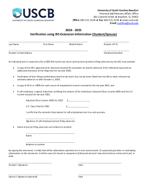 Fillable Online 2025 Verification using IRS Extension Information ...