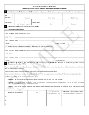 Fillable Online Entity: Guidance for completing the Self-certification Form Fax Email Print ...