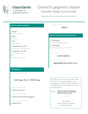 Invulbaar Online Overzicht gegevens dossier - Subsidies Veilige ...
