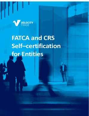 Fillable Online CRS AND FATCA SELF-CERTIFICATION FORM - ENTITY (SA) Fax ...