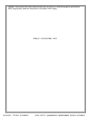 Fillable Online 2020-Public-Disclosure-Government- ... Fax Email Print ...