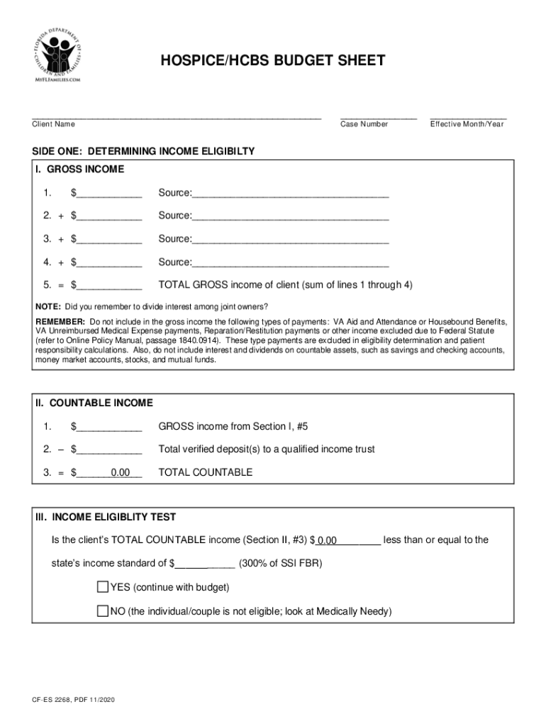 Fillable Online HOSPICE/HCBS BUDGET SHEET Fax Email Print - pdfFiller