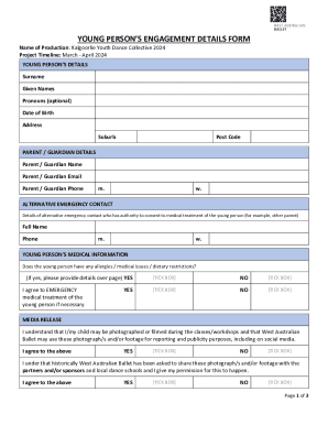Fillable Online YOUNG PERSON'S ENGAGEMENT DETAILS FORM Fax Email Print ...