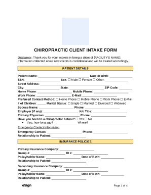Chiropractic Client Intake Doc Template | pdfFiller
