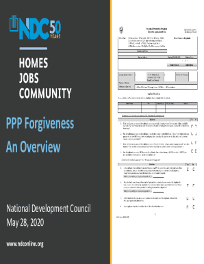 Fillable Online PPP Forgiveness Application Presentation Slides Fax ...