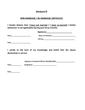 Fillable Online format of certificate of non-remarriage/non-marriage ...