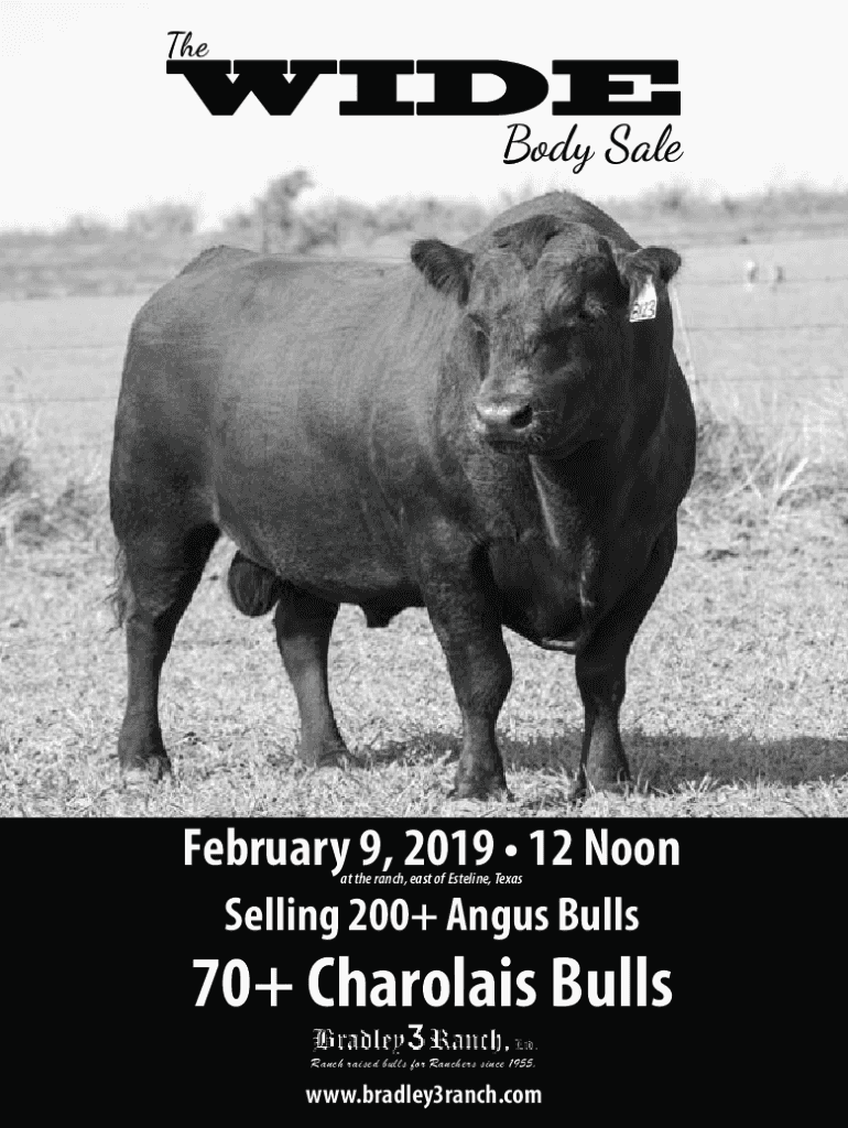 Fillable Online Charolais & Black Angus Bulls for SaleRegistered Angus ... Fax Email Print ...