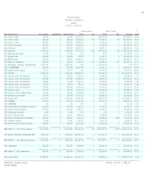 Fillable Online Statement of Operation Fax Email Print - pdfFiller