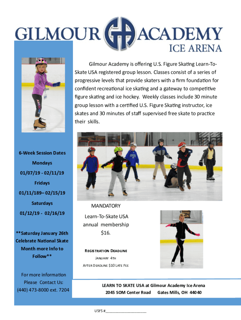 Fillable Online Basic Skills Ice Skating Lessons Fax Email Print ...