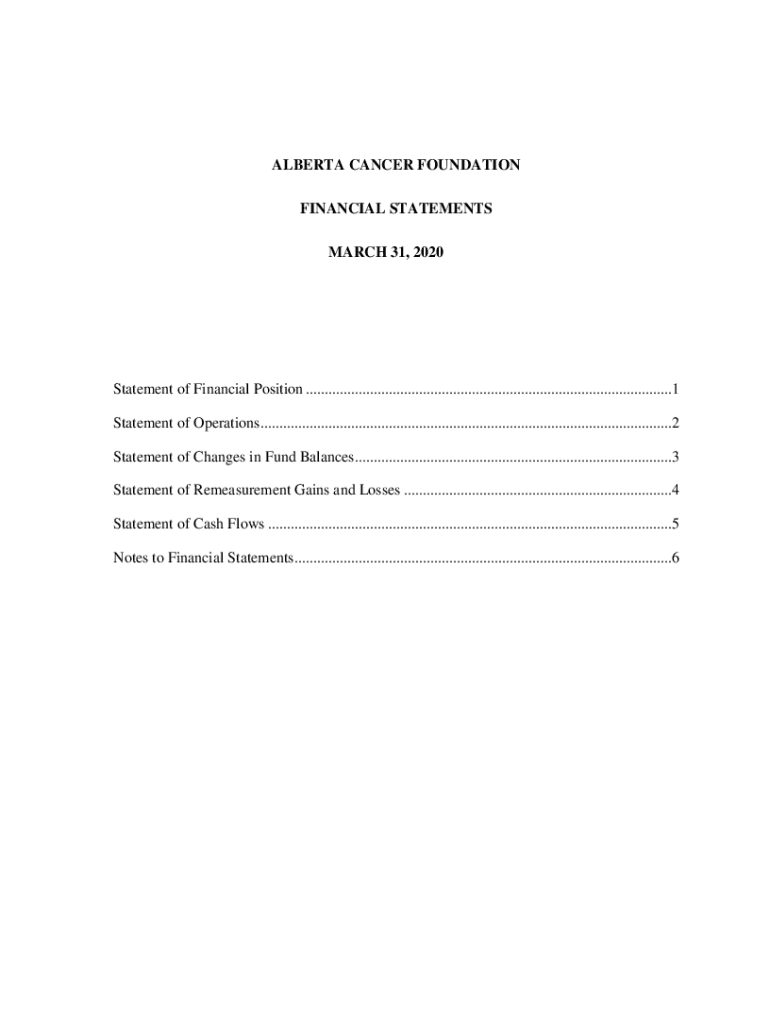 Fillable Online RSC Audited Financial Statements 20X5 Fax Email Print ...