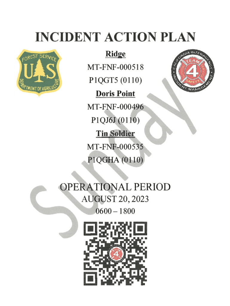 Fillable Online Forms - Incident Command System Fax Email Print - pdfFiller