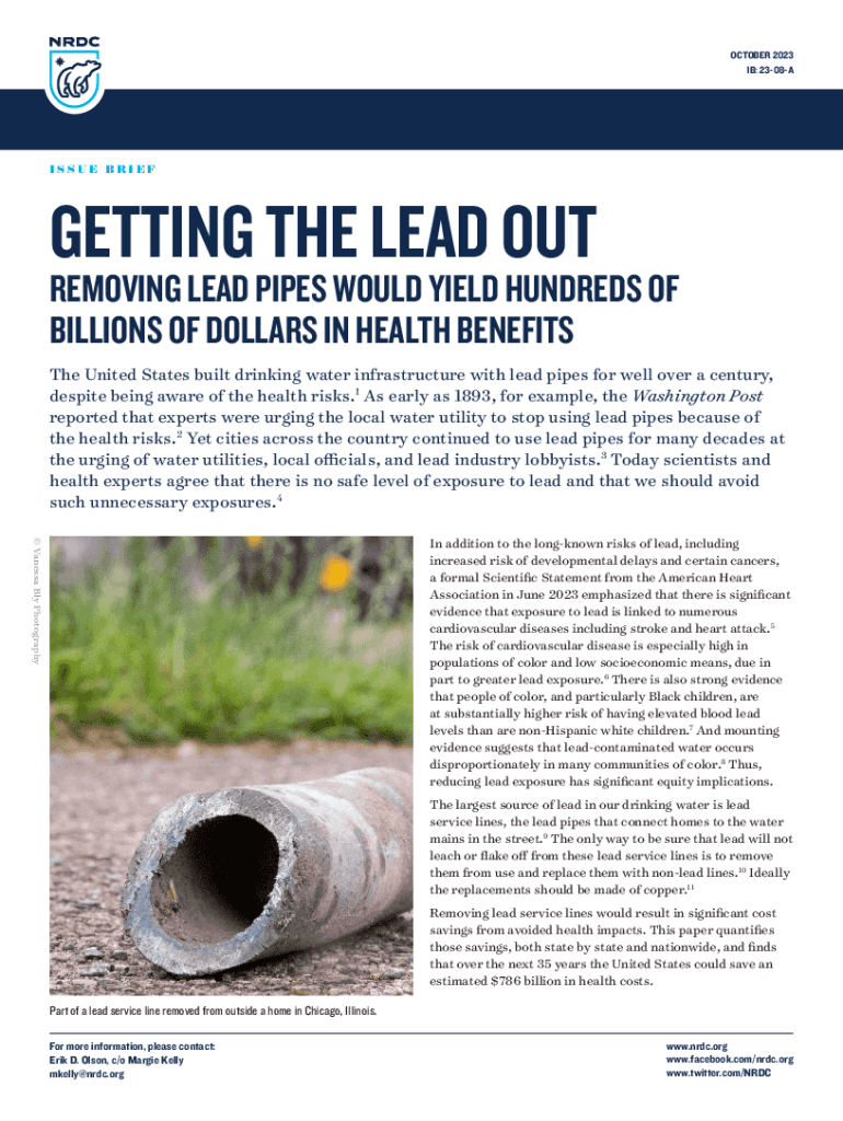 Fillable Online States fear being bilked as funds flow to replace lead ...