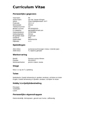 Curriculum Vitae Persoonlijke gegevens Doc Template | pdfFiller