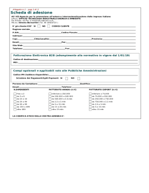 Compilabile Online ICE - AICS Fax Email Stampa - pdfFiller