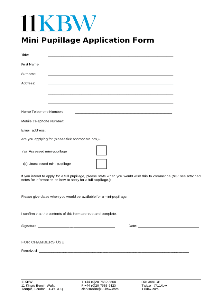 Unassessed Mini Pupillage Application - London Doc Template | pdfFiller