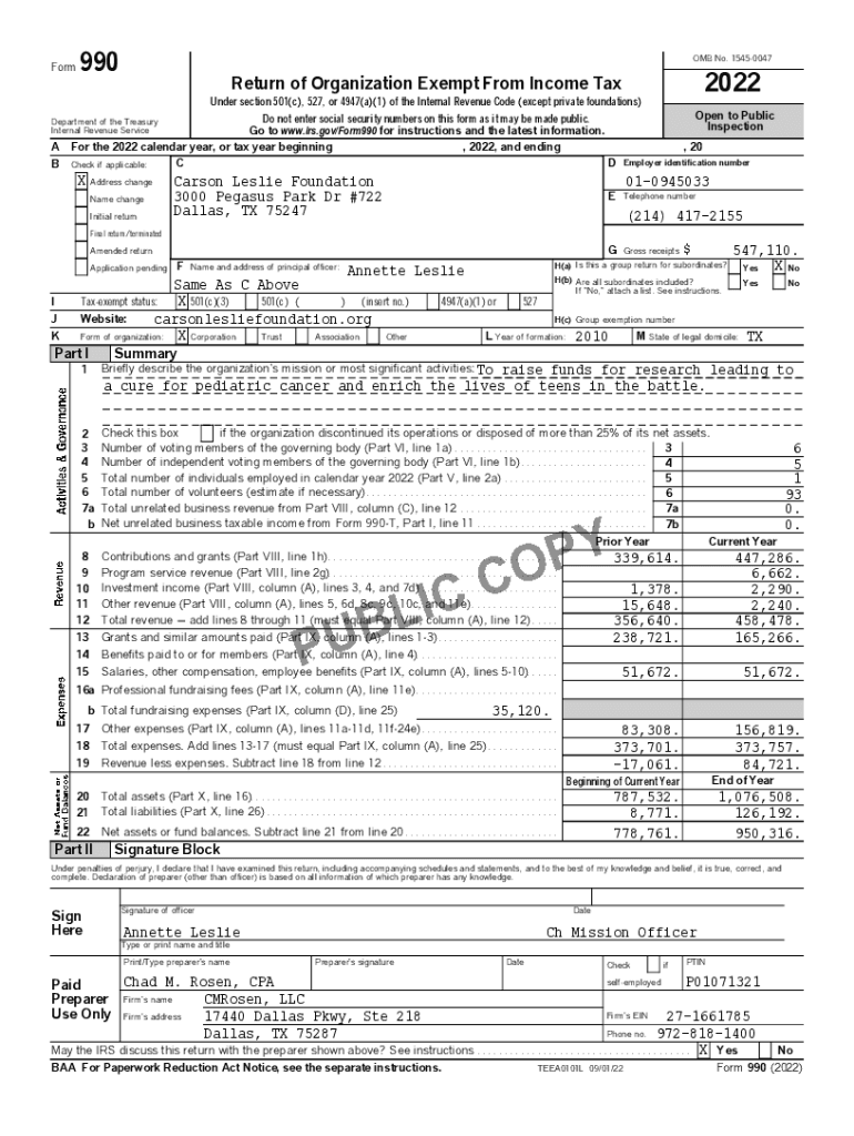 Fillable Online 2022 Form 990 - Public Copy Fax Email Print - pdfFiller