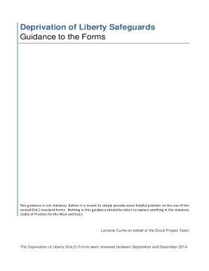 Fillable Online Deprivation of Liberty Safeguards - Guidance and Forms ...