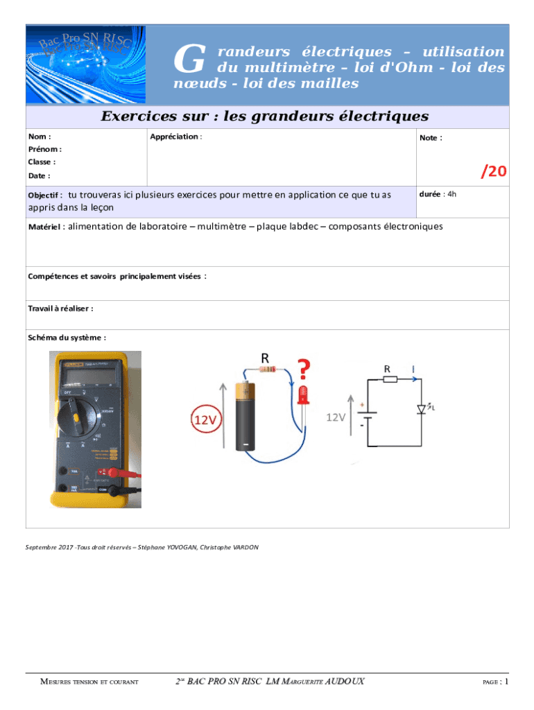 Remplissable En Ligne Circuit lectrique - Bac pro SN-RISC Tle Fax Email Imprimer - pdfFiller