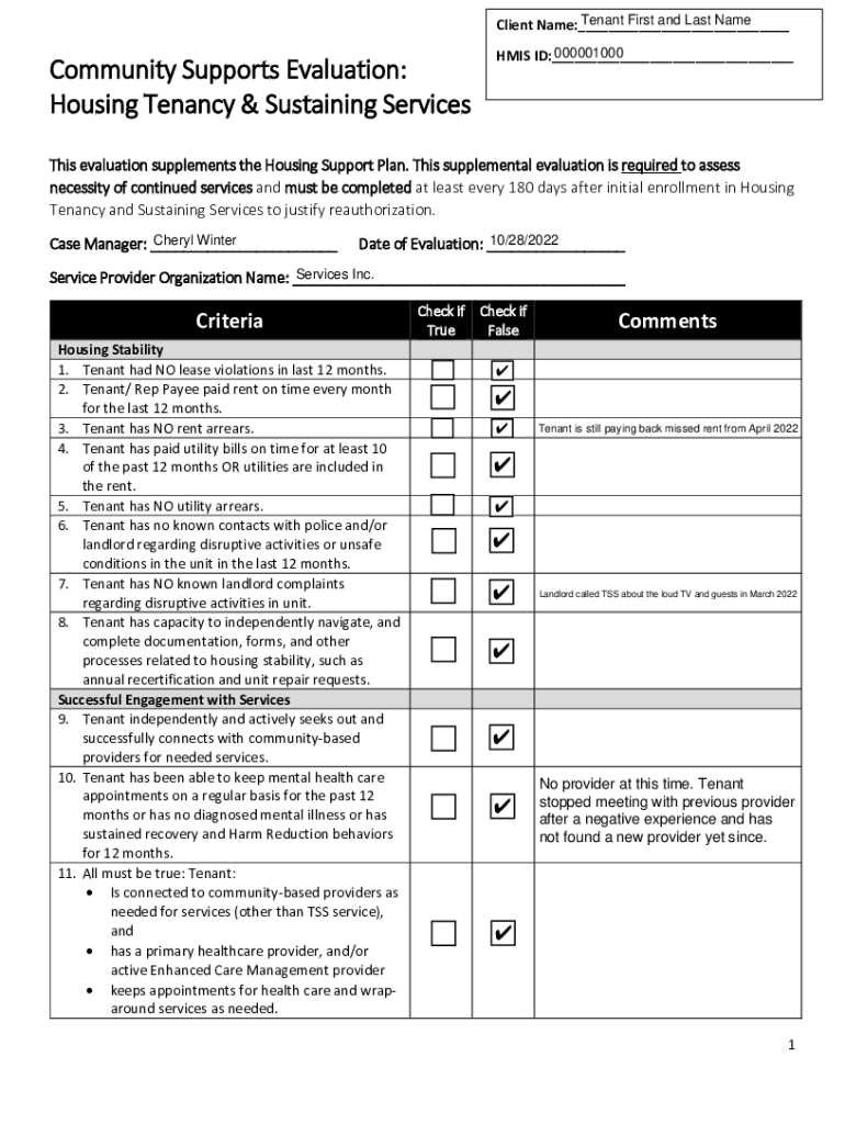Fillable Online Example - Community Supports Evaluation. Example ...