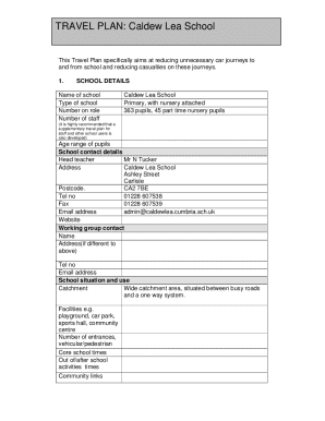 Fillable Online Making school travel plans work: effects, benefits and ...
