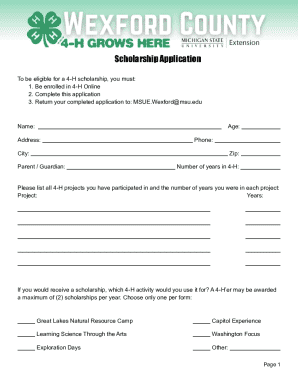 Fillable Online Scholarship Application - Template Fax Email Print ...