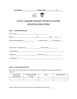 Fillable Online Spring Tryout Registration Form Fax Email Print - pdfFiller