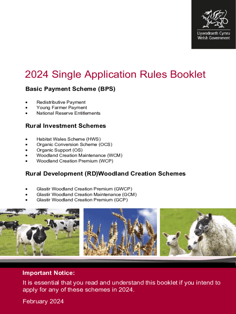 Fillable Online Single Application Form (SAF) 2024: rules booklet Fax ...