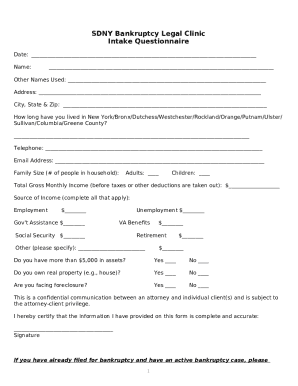 SDNY Bankruptcy Legal Clinic Intake Doc Template | pdfFiller