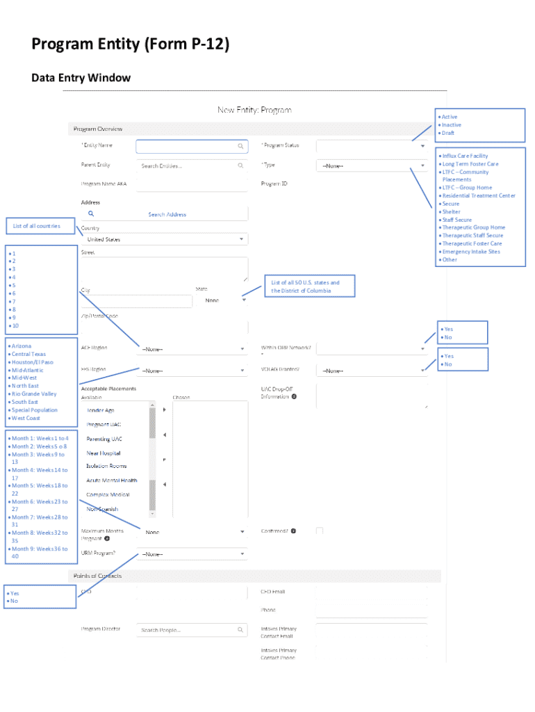 Fillable Online Program Entity (Form P-12) Fax Email Print - pdfFiller