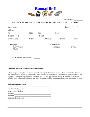 Fillable Online Rabbit Surgery Form upd December 2021 Fax Email Print ...