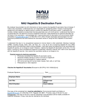 Fillable Online Hepatitis B Declination Form: What It Is, Risks ...