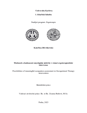 Fillable Online Top Down VS Bottom Up Approach in Occupational Therapy ...