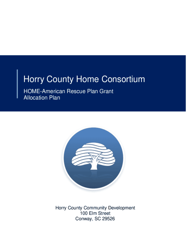 Fillable Online horry-county-home-consortium-home-arp-allocation-plan ...