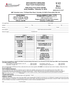 Fillable Online YBC State Entry Form 1996 - South Carolina USBC Fax ...