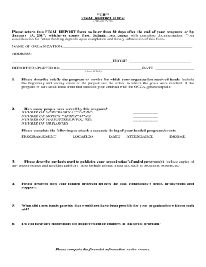 Fillable Online "CIP" FINAL REPORT FORM Please return this ... Fax ...