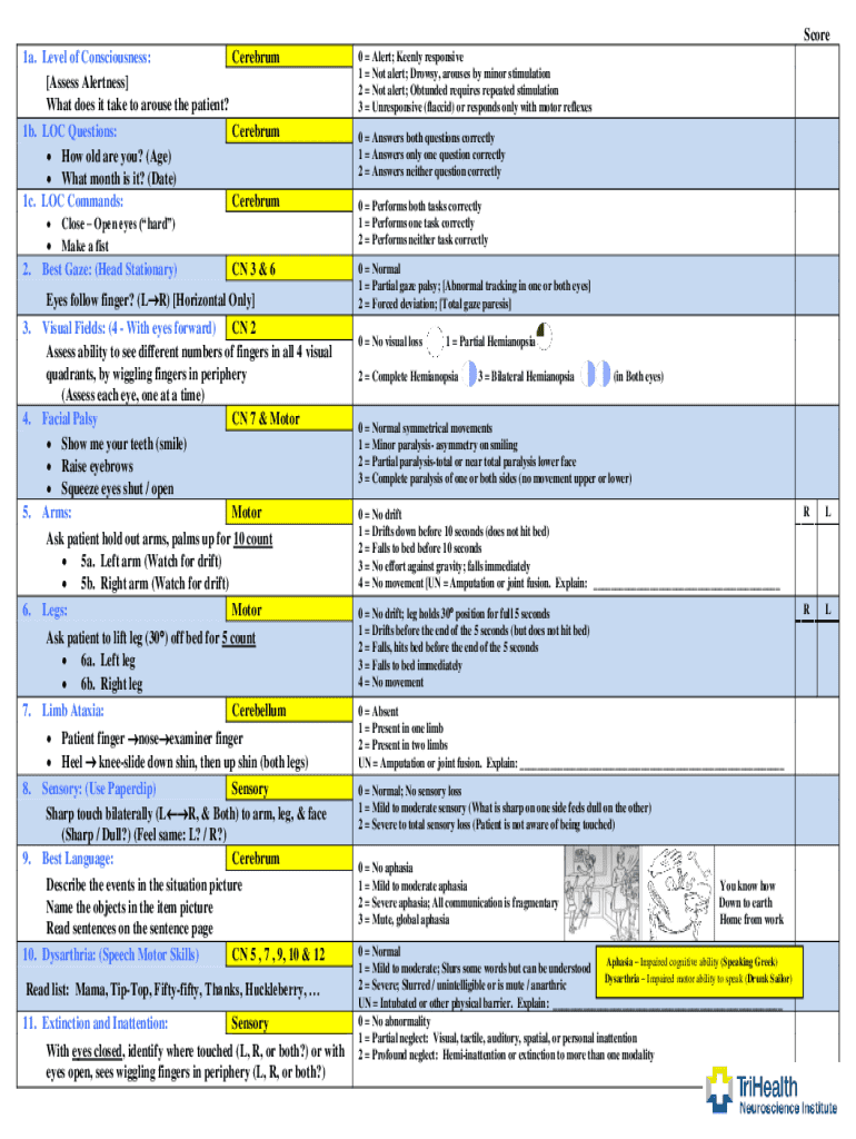 Fillable Online Cerebrum Assess Alertness What does it take to arouse ...