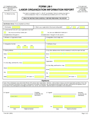 Fillable Online FORM LM-1 LABOR ORGANIZATION INFORMATION ... Fax Email ...