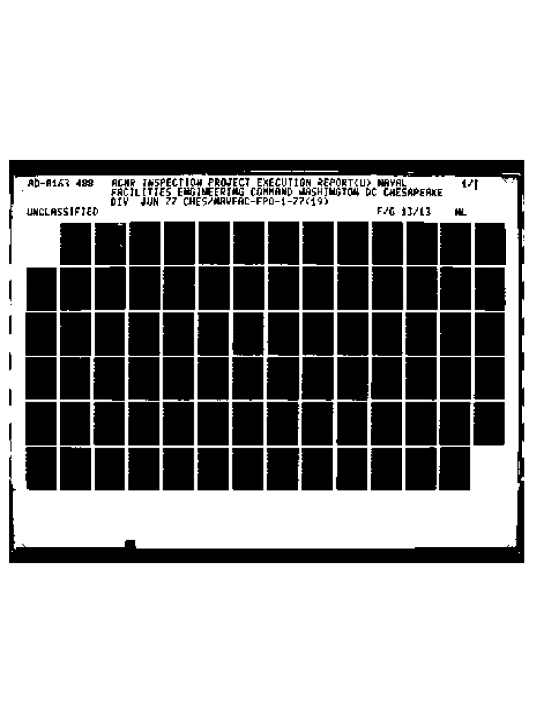 Fillable Online ACMR Inspection Project Execution Report.. The report ...