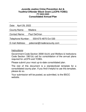 Fillable Online Consolidated Annual Plan Fax Email Print - pdfFiller