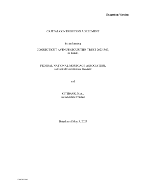 Fillable Online Execution Version CAPITAL CONTRIBUTION AGREEMENT by and ...