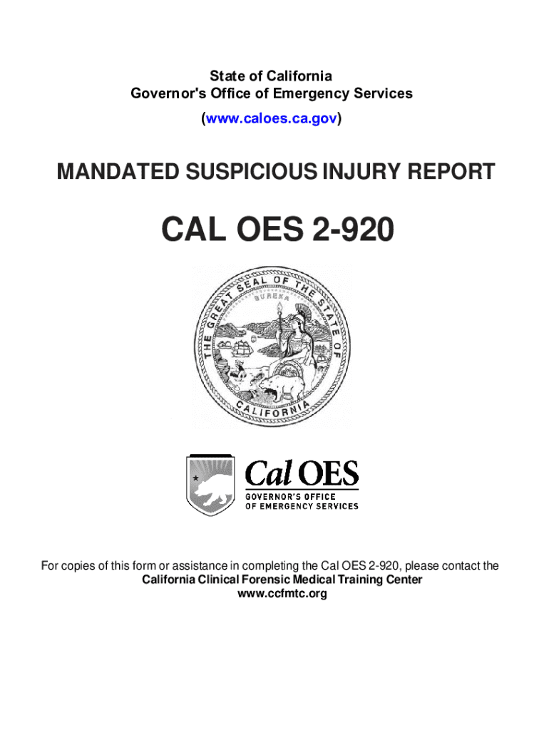 Fillable Online Public Assistance Forms, Documents, and Reference ...