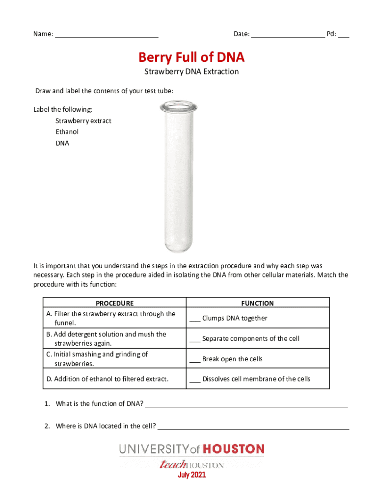 Fillable Online Strawberry DNA Extraction Lab Activity Sheet Name Fax ...