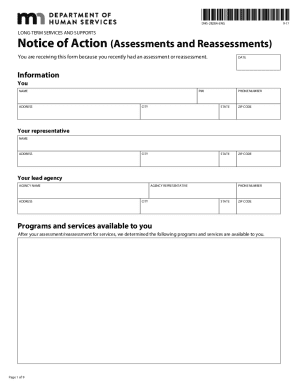 Fillable Online DHS-2828A-ENG (Long-Term Services and Supports Notice ...