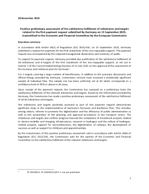 Fillable Online rrf-preliminary-assessment-2nd-payment-request-spain ...