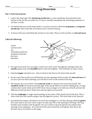Fillable Online Frog Dissection External Anatomy.docx - Name: Date Fax ...