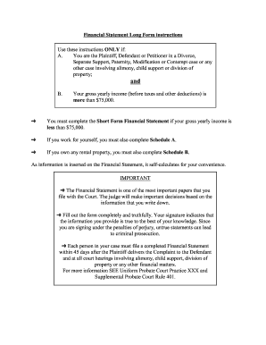 Fillable Online mass Instructions for the Financial Statement Long Form ...