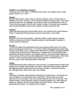 Soapstone Example - Fill Online, Printable, Fillable, Blank | pdfFiller