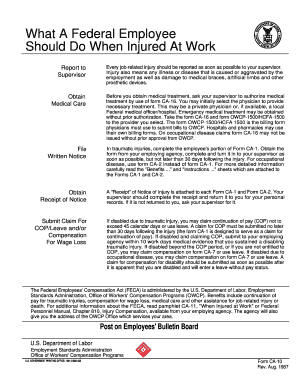 Fillable Online What A Federal Employee Should Do When Injured At Work ...