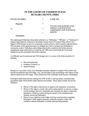 Fillable Online FELONY NON SUPPORT (FNS) Fax Email Print - pdfFiller